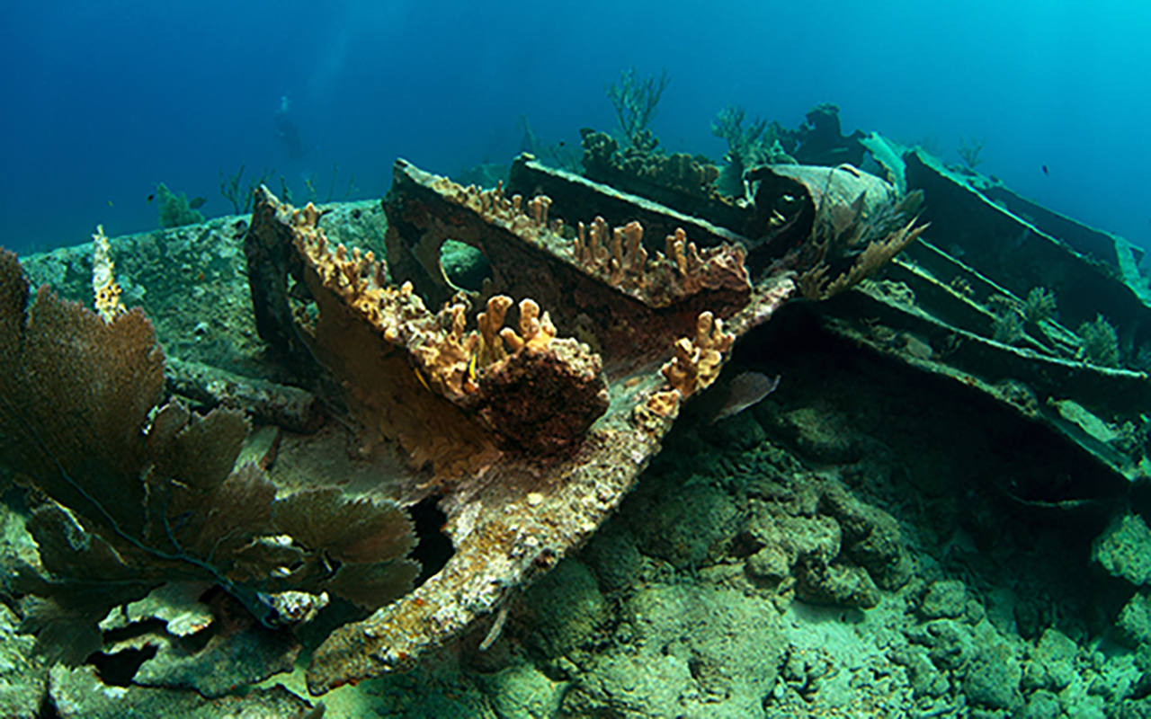 Exploring Washington Wreck - Unforgettable Florida Scuba Diving Adventure