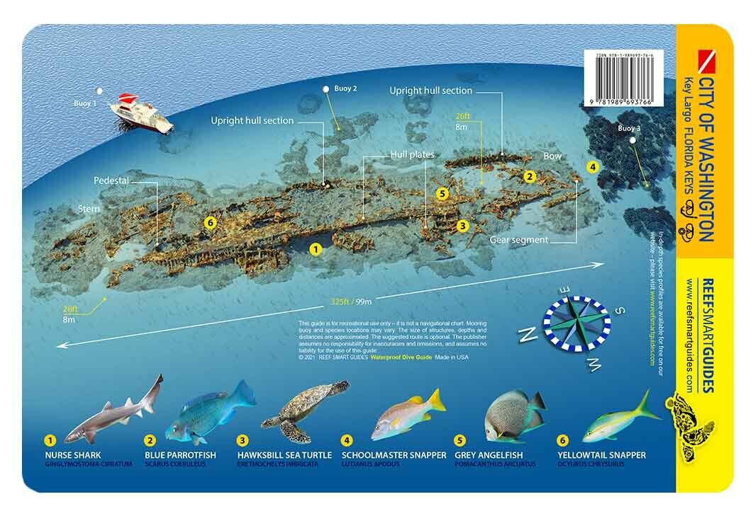 Exploring Washington Wreck - Unforgettable Florida Scuba Diving Adventure