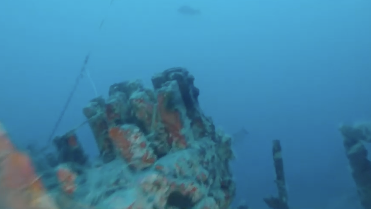 Explore the USS Wilkes Shipwreck: A Diver's Paradise