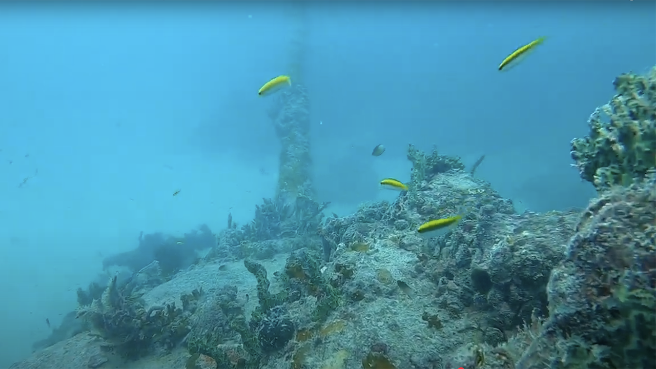 Explore Miami's Army Tanks: A Unique Scuba Diving Adventure