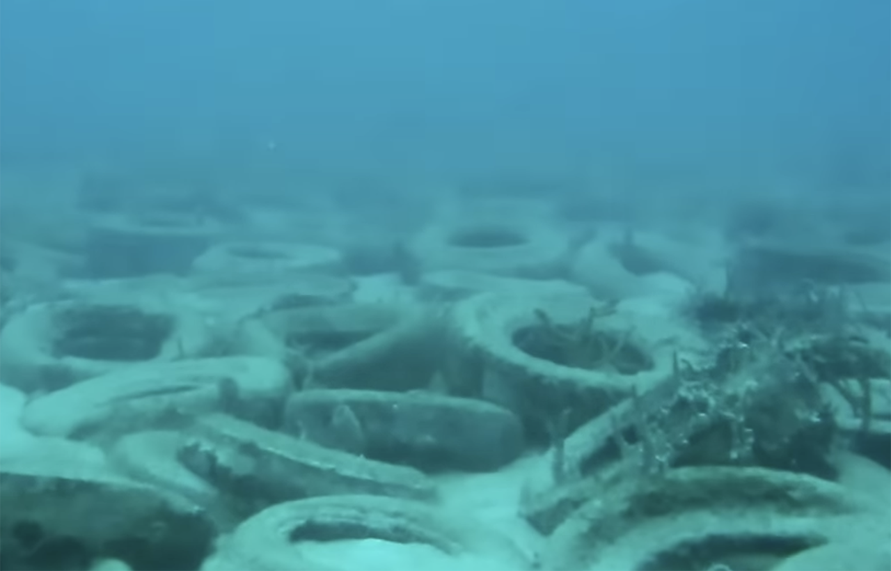 Osborne Reef Fort Lauderdale: Essential Diving Guide